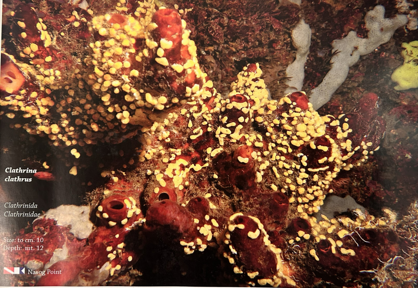 Buruanga: The Hidden Side of the Philippines | Kuno