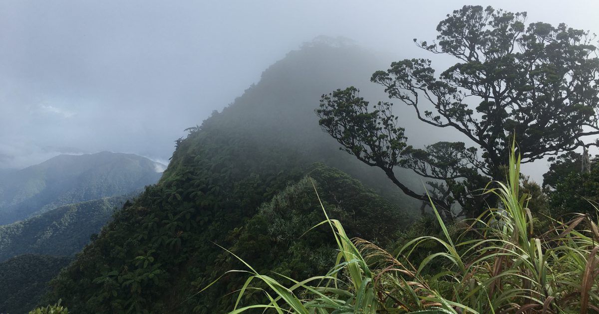 On Higher Altitude: Ascending the highest mountain in Panay | Kuno
