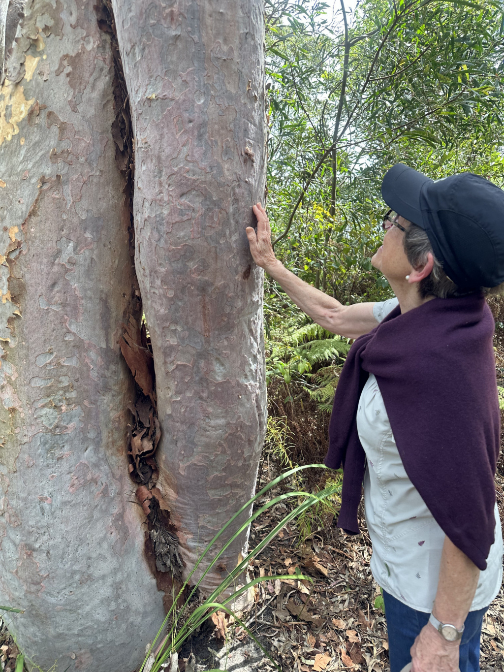 Children in Nature | Kuno