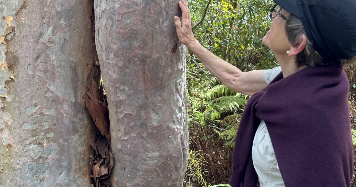 Children in Nature | Kuno