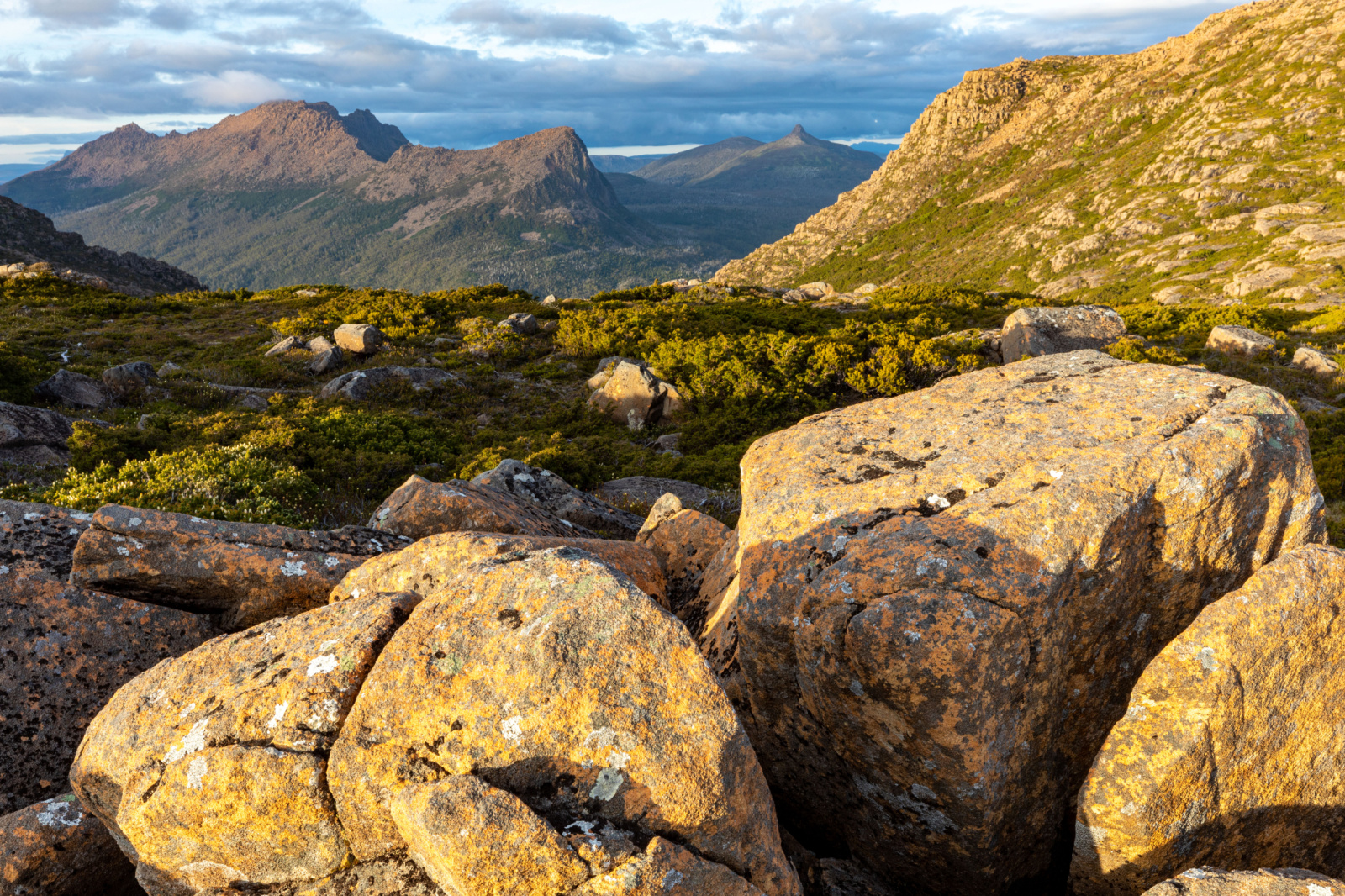 Hobart launch: writer Helen Cushing on how to contribute to Kuno | Kuno