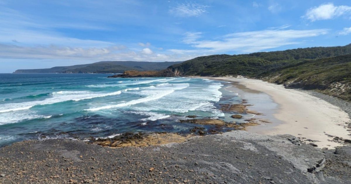Somewhere Along the South Cape Bay Track | Kuno