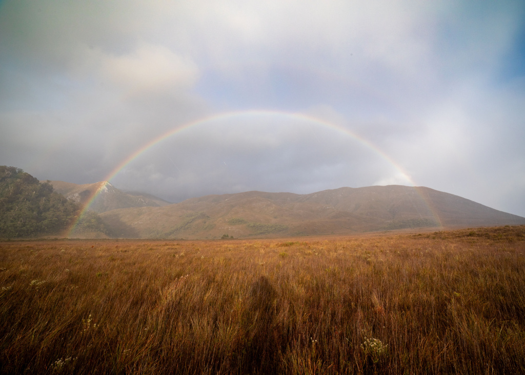The nature of sound and the elusive ground parrot | Kuno