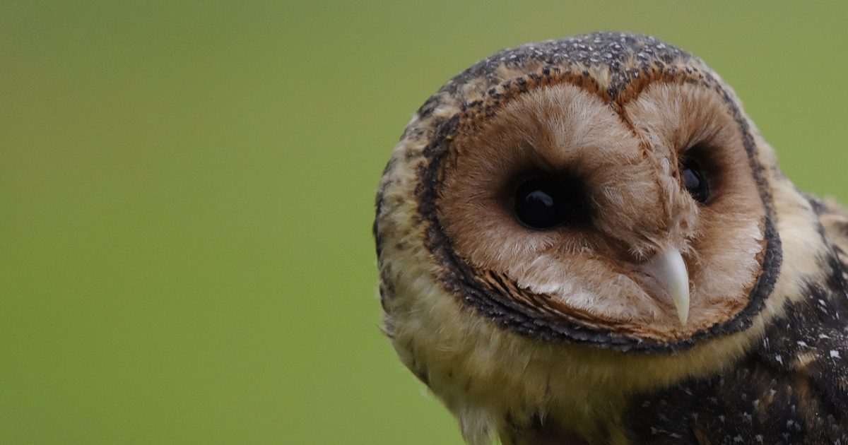 Bruny Island launch: Cat Davidson on falling in love with Nature | Kuno
