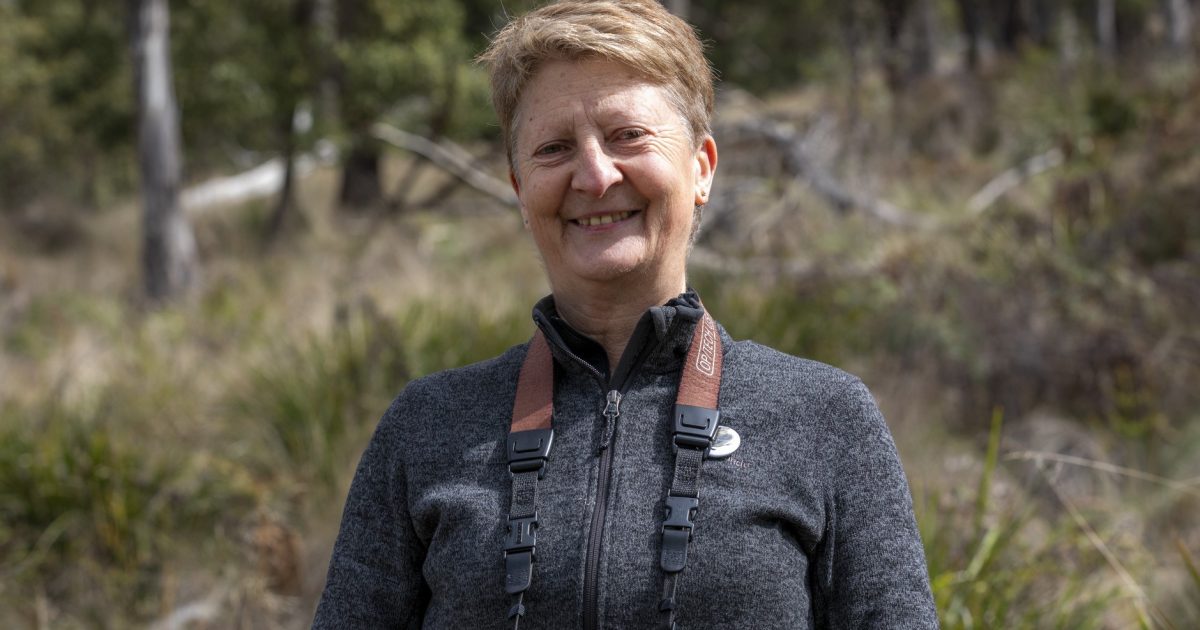 Dr Sally Bryant: a lifetime in the field | Kuno