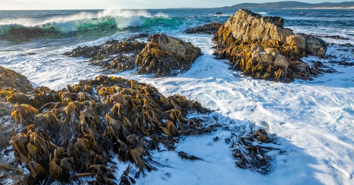 Nowhere Else on Earth- Film premiere Eaglehawk Neck | Kuno