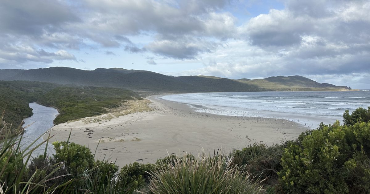 Cloudy Bay's extraordinary ecology | Kuno