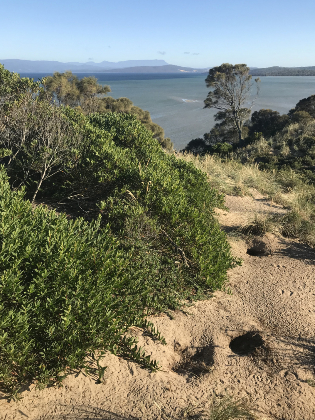 Truganini Lookout | Kuno