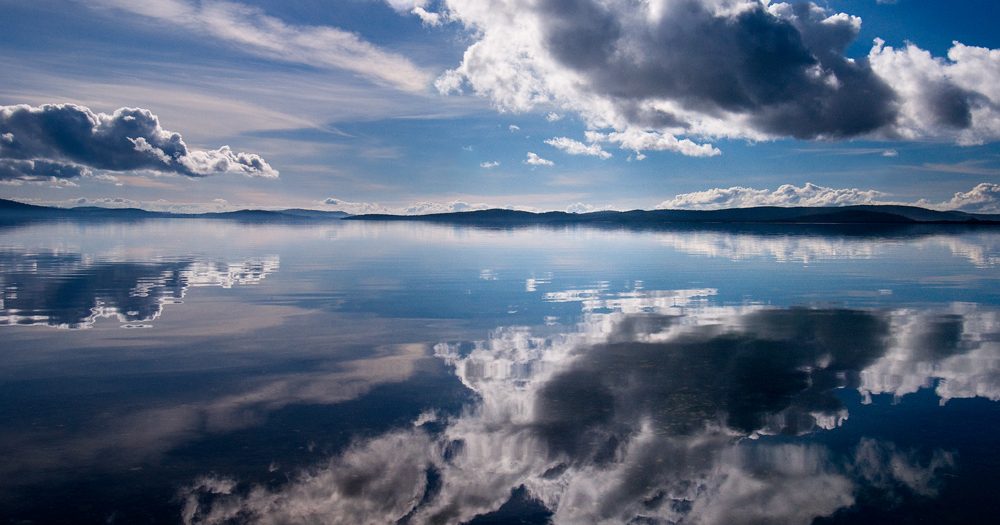 Retrospective Exhibition- Warwick Berry (1951-2023) | Kuno