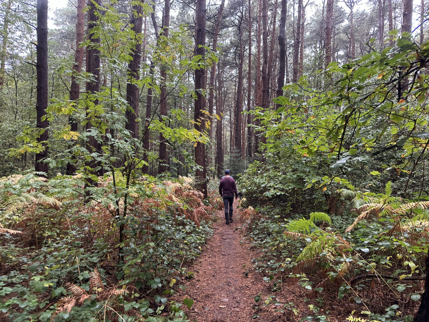 The History of Commons | Kuno