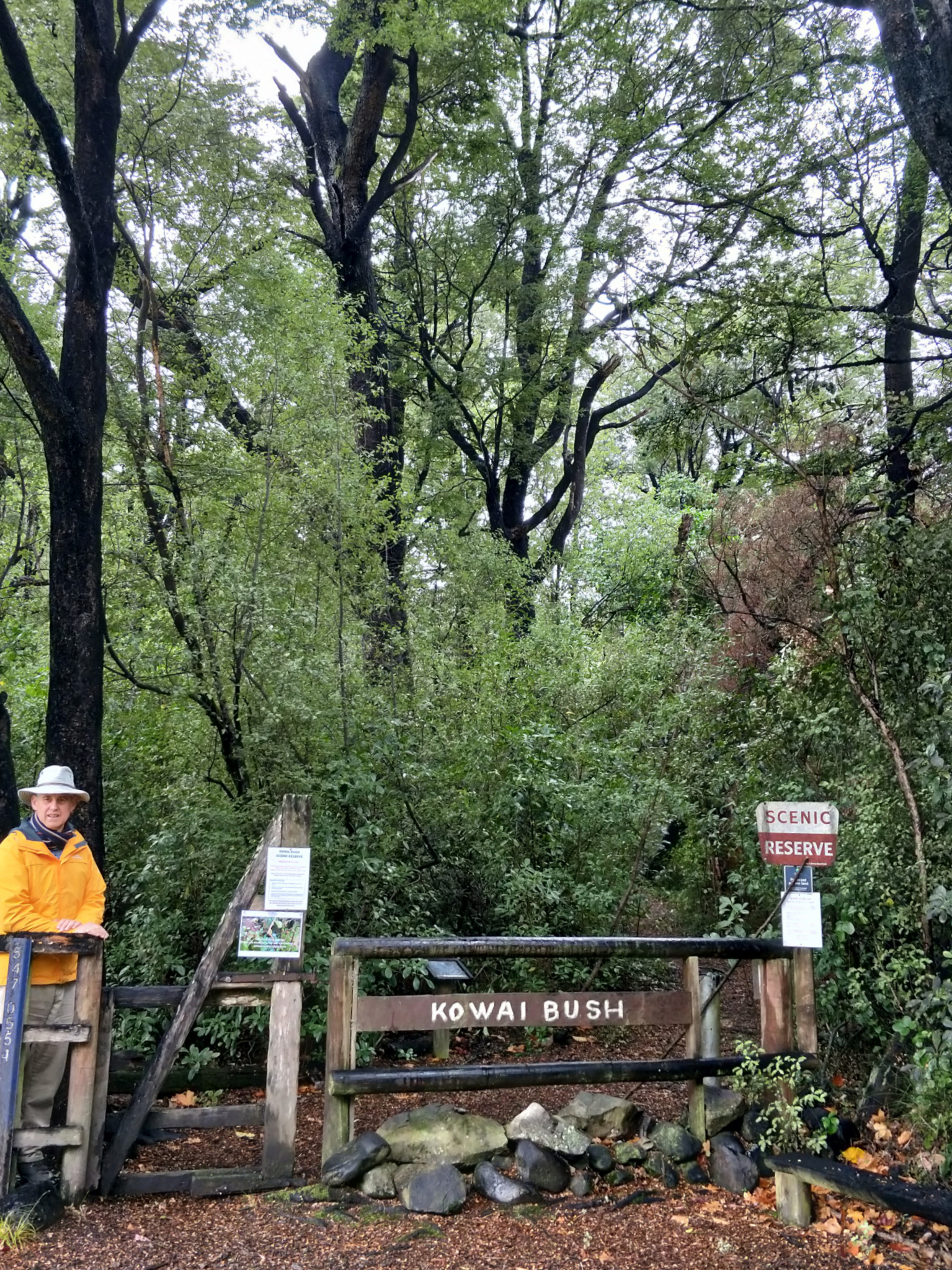 The Story of Kowai Bush and the Mears Track | Kuno