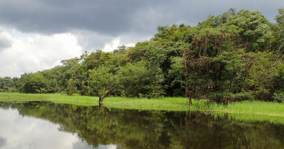 Amazon Basin | Kuno