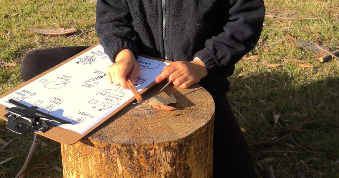 Natures Treasures | Kuno